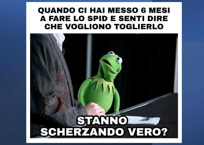 SPID. Il doppio finanziamento di un sistema in dismissione. - Si.Re. Informatica S.r.l.
